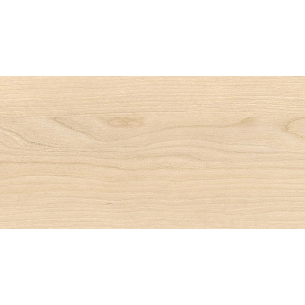 Abs 43/ 2mm h 1732 st9 sand birch